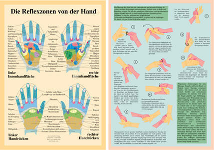 Die Reflexzonen An Der Hand / Karte / 8 X 11,4 / Zelloph., 1,00