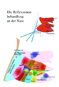 Die Reflexzonen Der Nase / Tafel / 60 X 40 / Plastik, 18,50